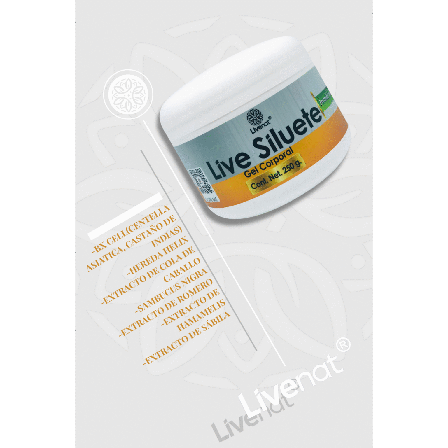Oneida Live – livenatoficial